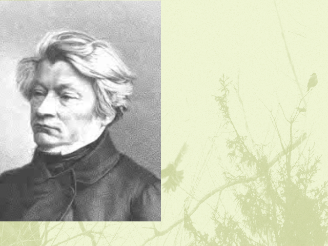 Prezentacja: ADAM MICKIEWICZ - edukator.pl